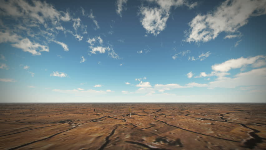 Growing Tree Time-lapse Stock Footage Video 1015948 - Shutterstock