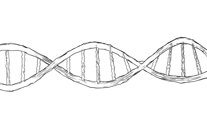 DNA Strand Rotating Black And White / DNA Strand Digital Black And ...