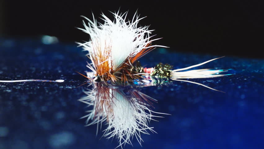 Fly Fishing Dry Flies Floating On Water Stock Footage Video 2379209 ...