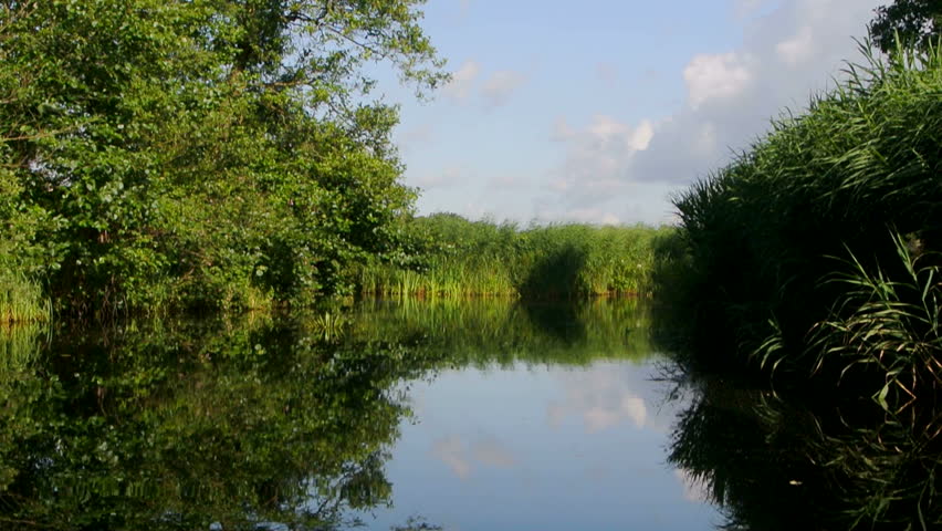 Wildlife Equatorial Africa, Equatorial Guinea. Beautiful Landscape ...