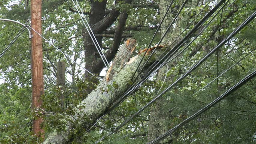 Storm Damage -- Large Broken Tree Branches Hanging On Power Lines Stock ...