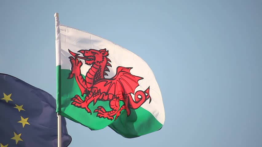 Welsh Flag Flying On Blue Sky Stock Footage Video 4452260 - Shutterstock