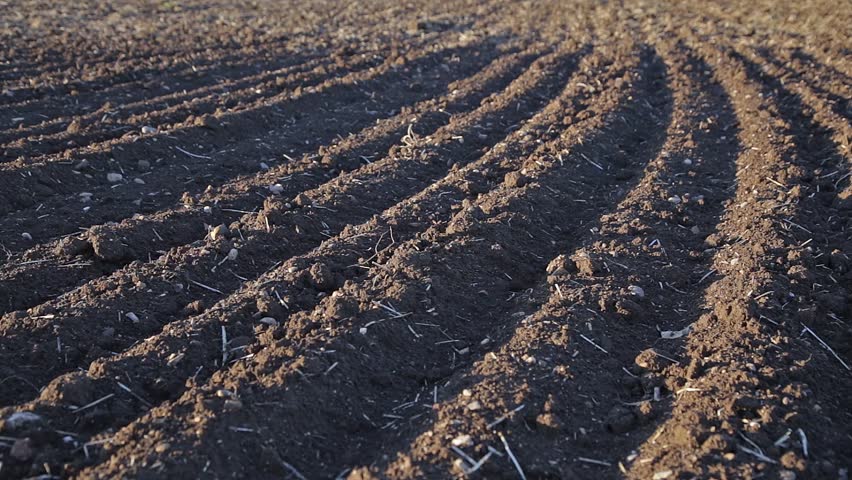 Close Up. Ploughed Field. Plowed Field. Background. Stock Footage Video ...