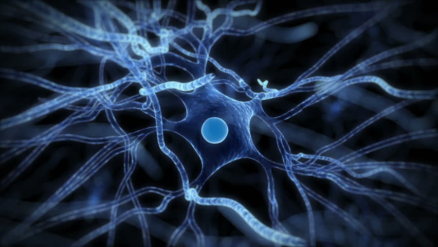 Real Nerves