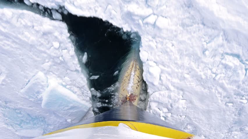 Tilt Up Bulbous Bow Point Of View Of An Icebreaker Ship Plowing Through ...