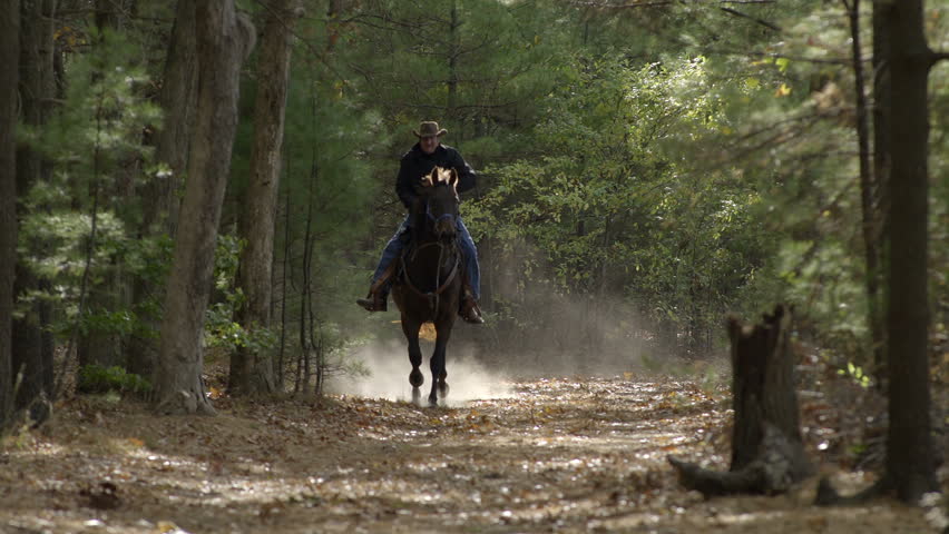 A Man Rides A Galloping Horse Through The Woods Towards The Camera ...