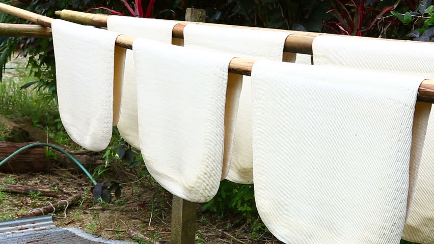 Transform Process Of Rubber , Milk Latex Procees To Raw Rubber Sheets ...