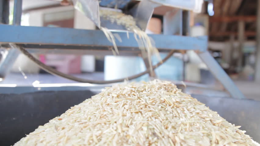 Rice Milling Machine Stock Footage Video 7788913 - Shutterstock